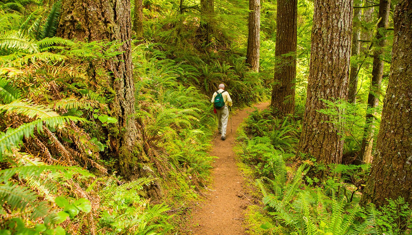 Trails and Tap - Outdoor Adventures and Craft Breweries