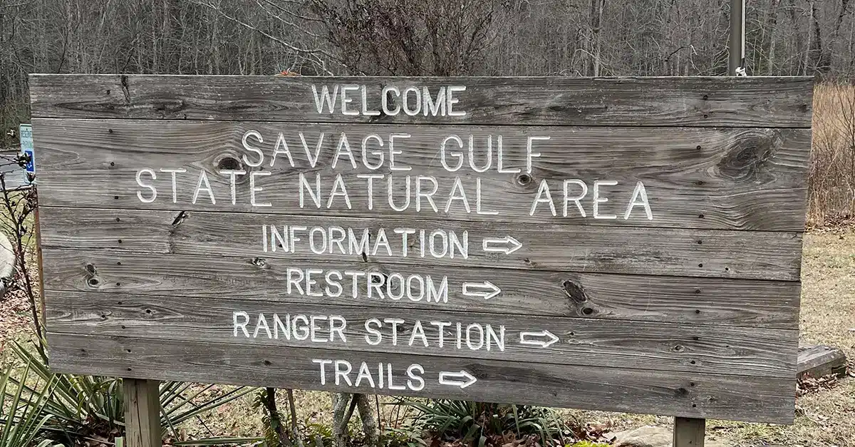 Savage Gulf Tennesee State Park | Trails and Tap